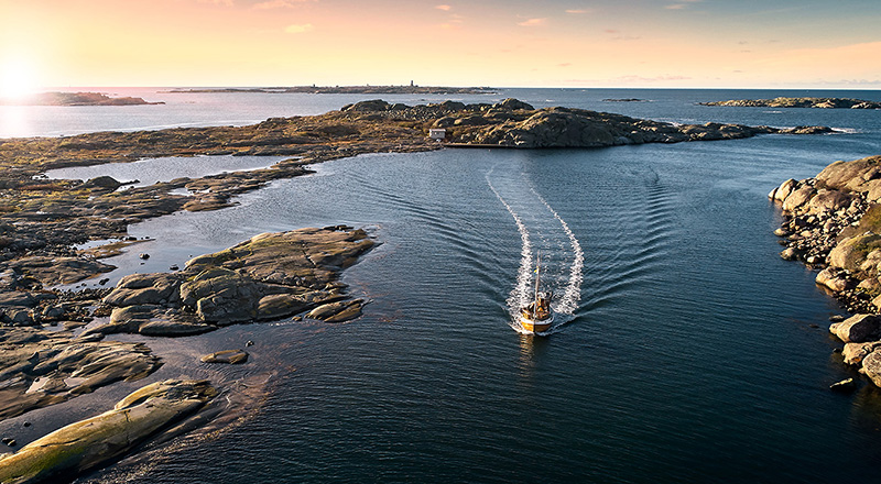 What to do at Gothia Towers and in Gothenburg?